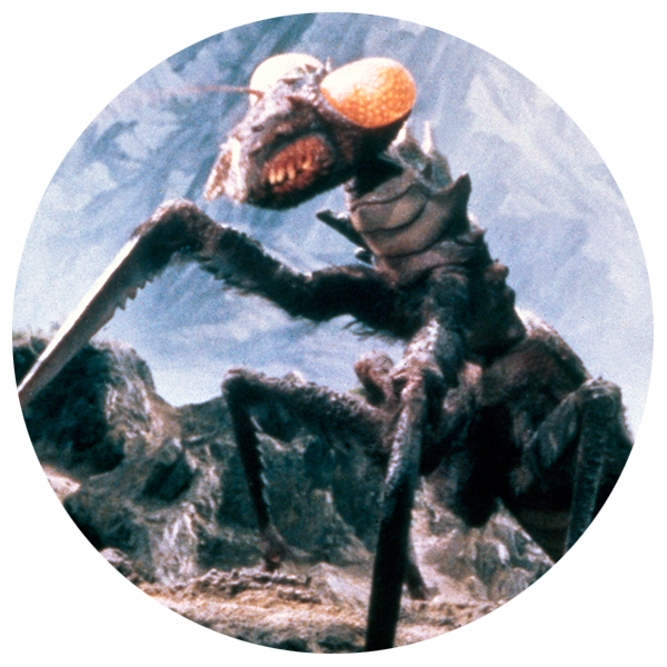 Kamacuras – GODZILLA FOODS
